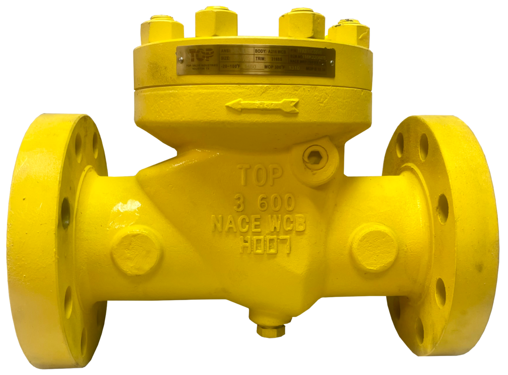 Flanged Swing Check Valves – TOP Valve Industries